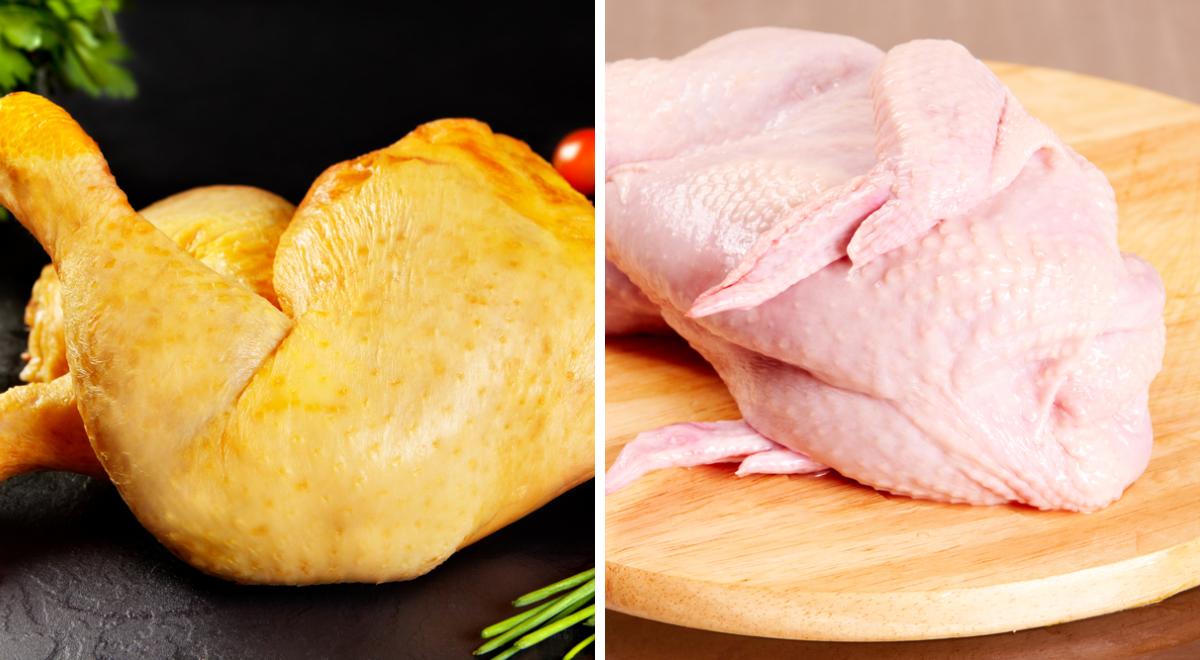 ¿Cuál es mejor entre el pollo blanco, rosado y amarillo? Esto es lo que ...