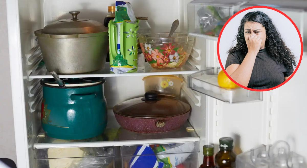 Descubre por qué la comida tiene "sabor a refri" y cómo puedes evitarlo