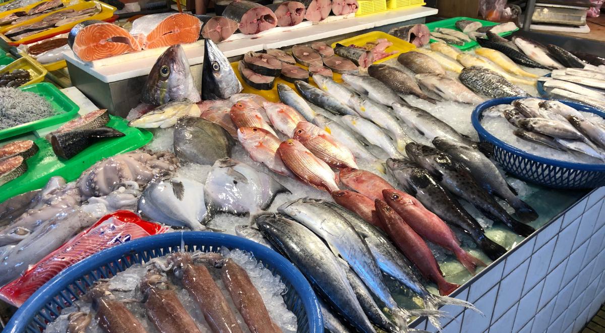 ¿Por qué es costumbre comer pescado en Perú durante Semana Santa?